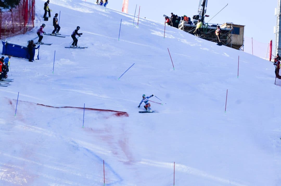 What is good skiing ? European Snowsport Ski School Director Explains.